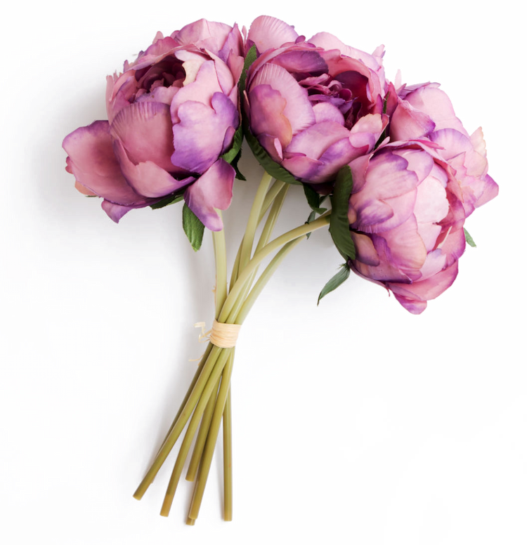 Gaia Flowers and Plants